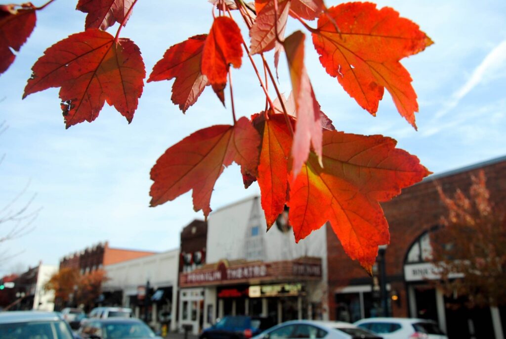 Fall in love with America's Favorite Main Street - Downtown Franklin